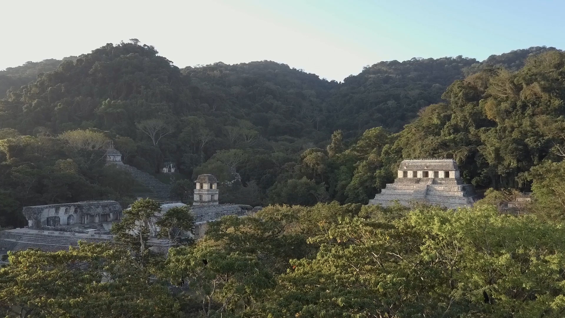 Sustainable Farming: The Maya Milpa Cycle • Odyssey Earth