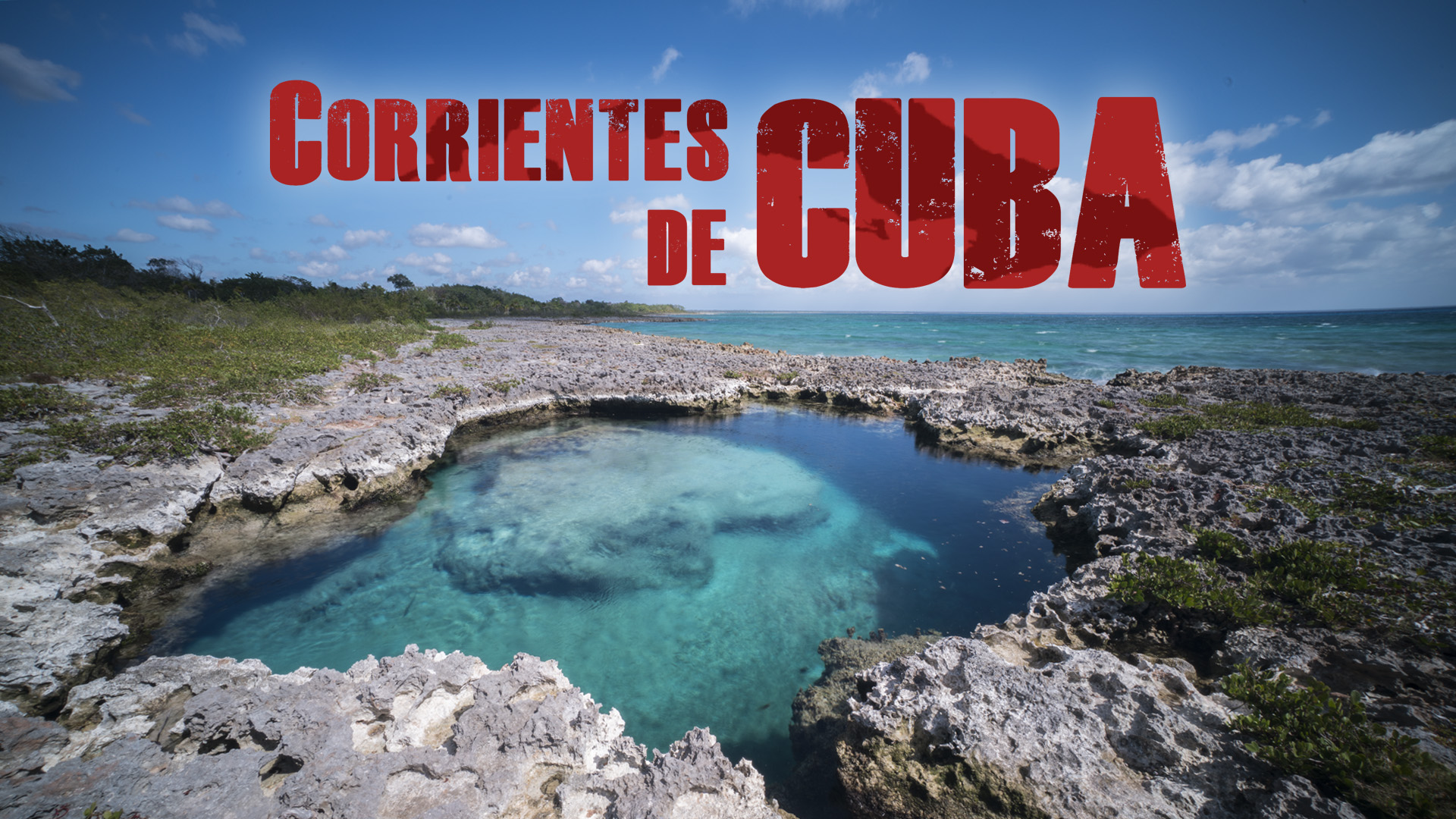 Corrientes de Cuba • Odyssey Earth