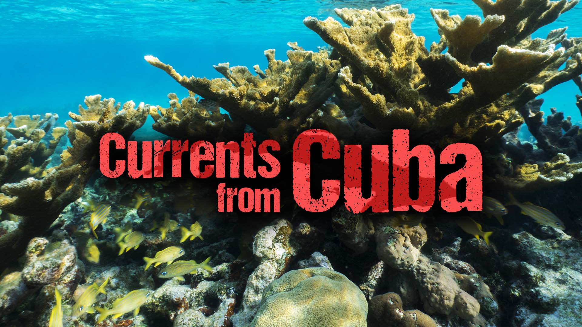 The Siren and the Springs • Odyssey Earth