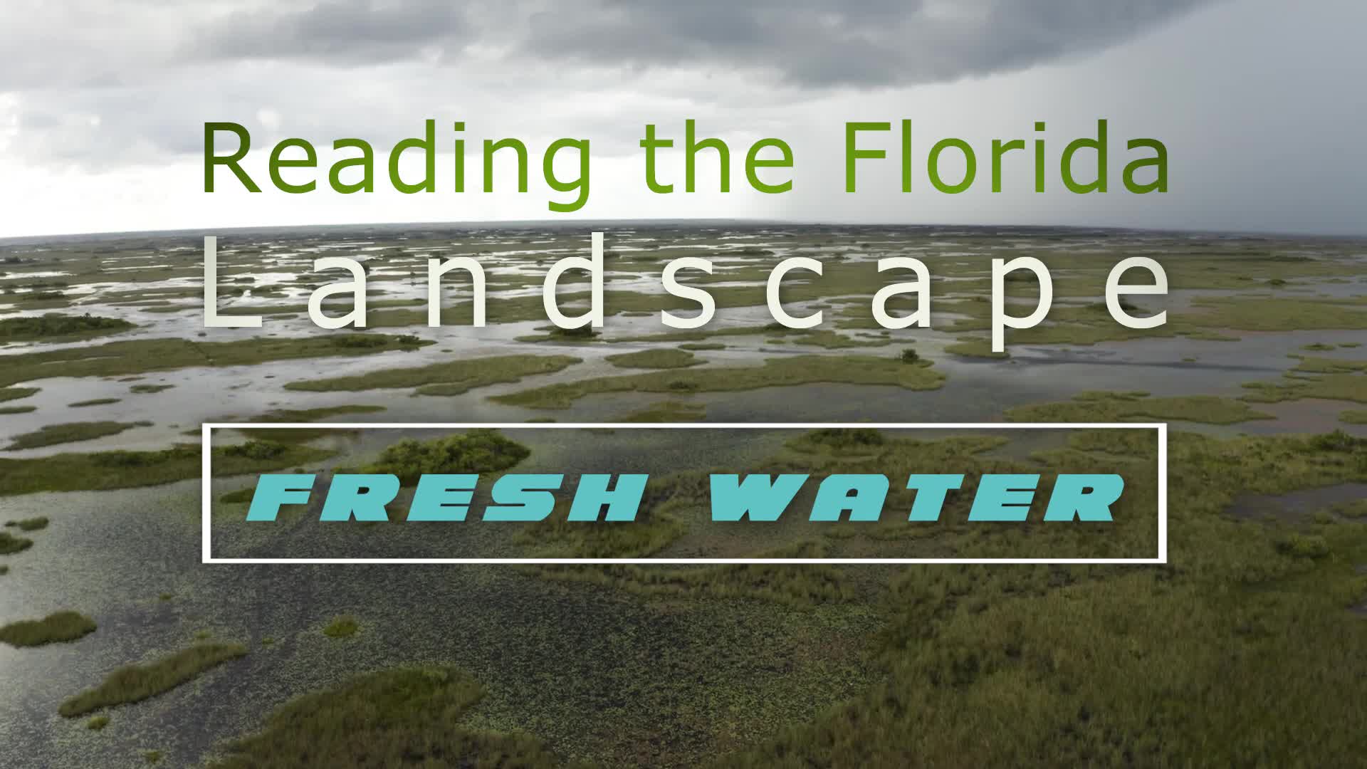Reading the Florida Landscape: Freshwater • Odyssey Earth