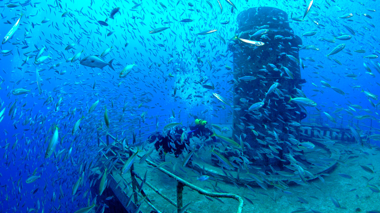 Artificial Reefs • Odyssey Earth